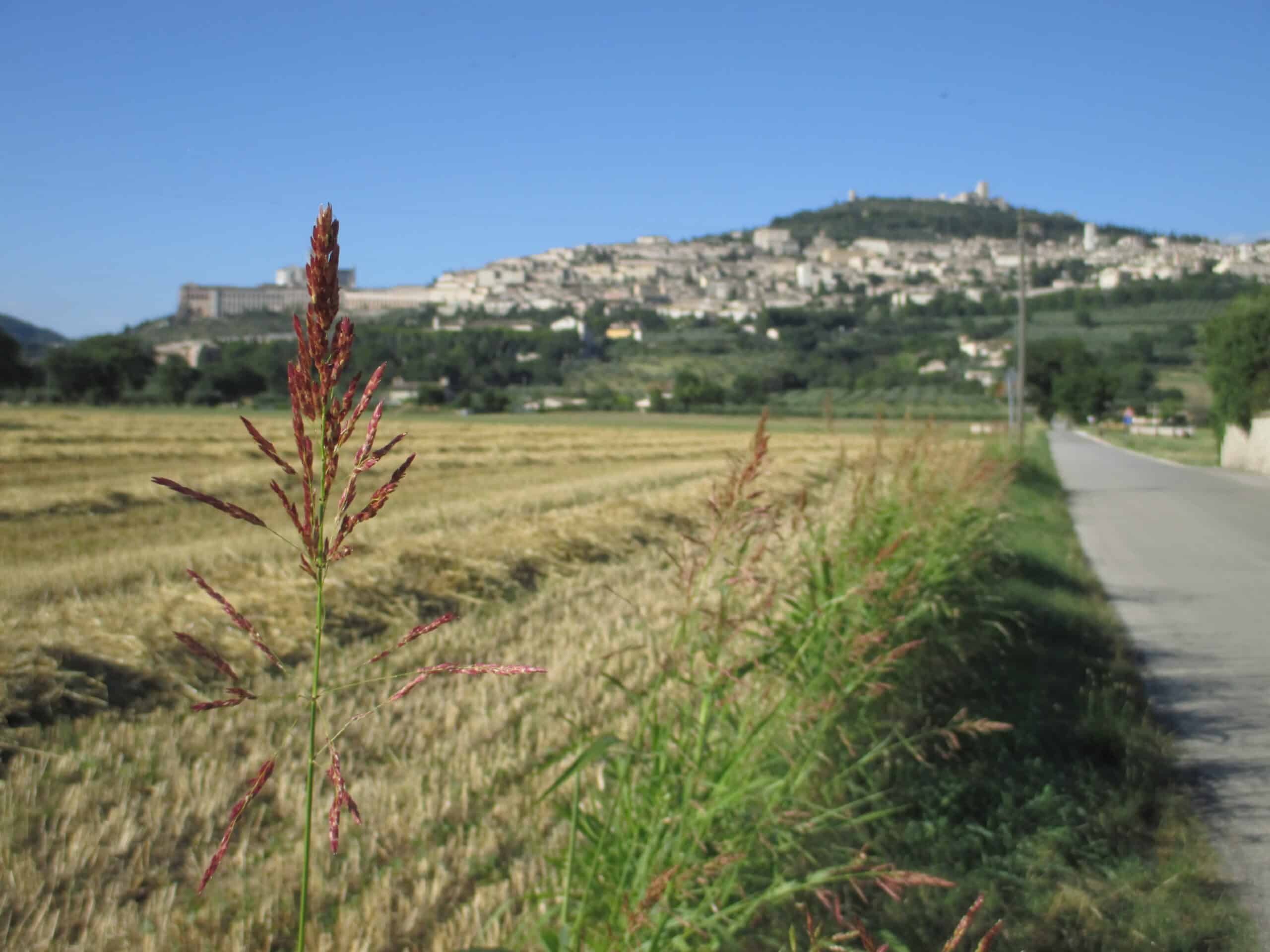 4 photos from Assisi - Messy Jesus Business