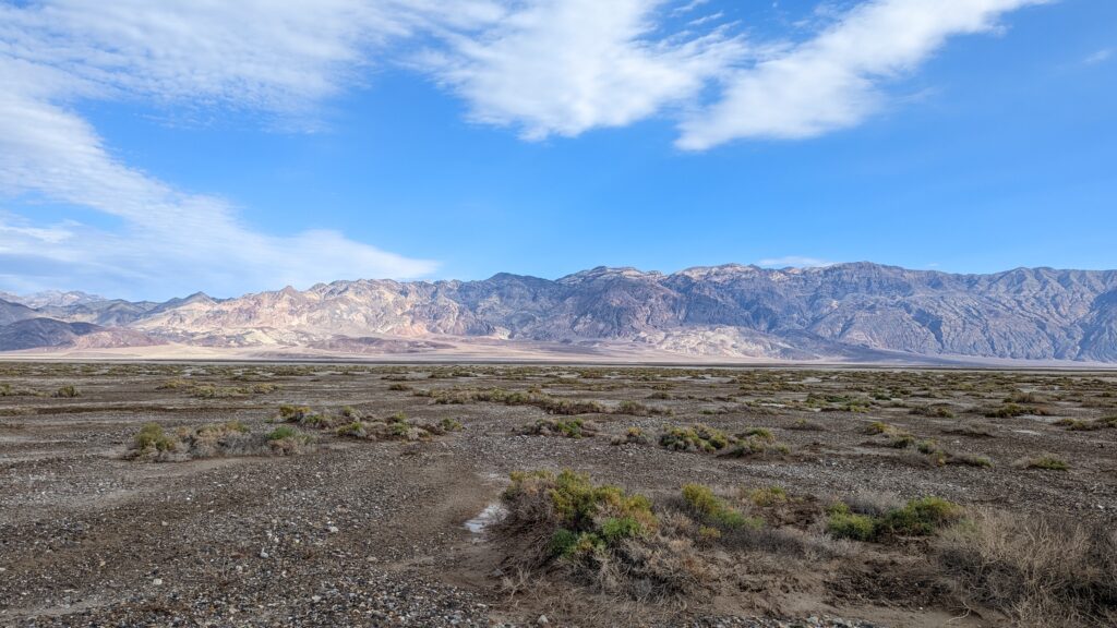 Lenten Contemplation: Transformed in the Desert - Messy Jesus Business